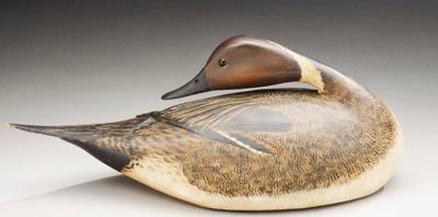Carve a pintail duck in online class | Lifestyle | mdislander.com