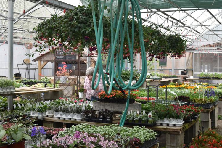 Unexpected visitors damage Seawall garden center | Environment ...