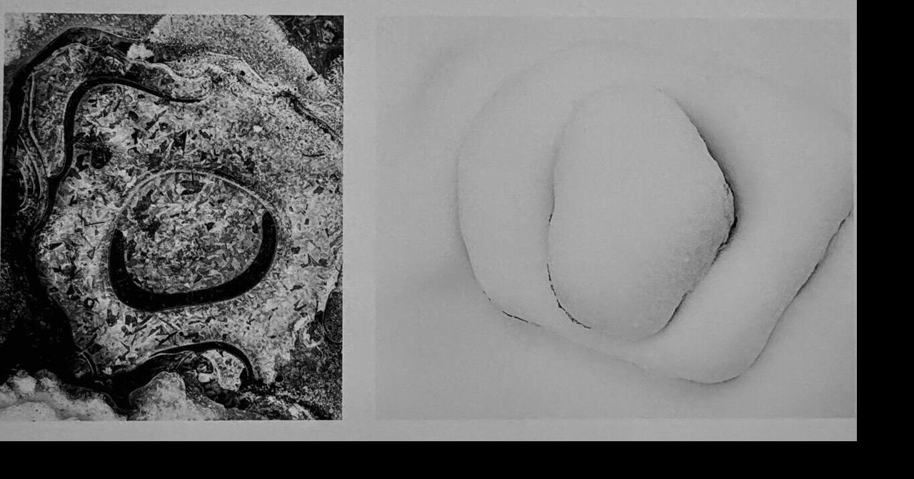 'Acadia Impressions' -- Photo show at Blum is breathtakingly cool ...