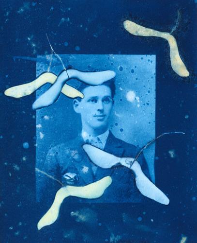 Bar Harbor artist captures the natural world from behind the lens ...