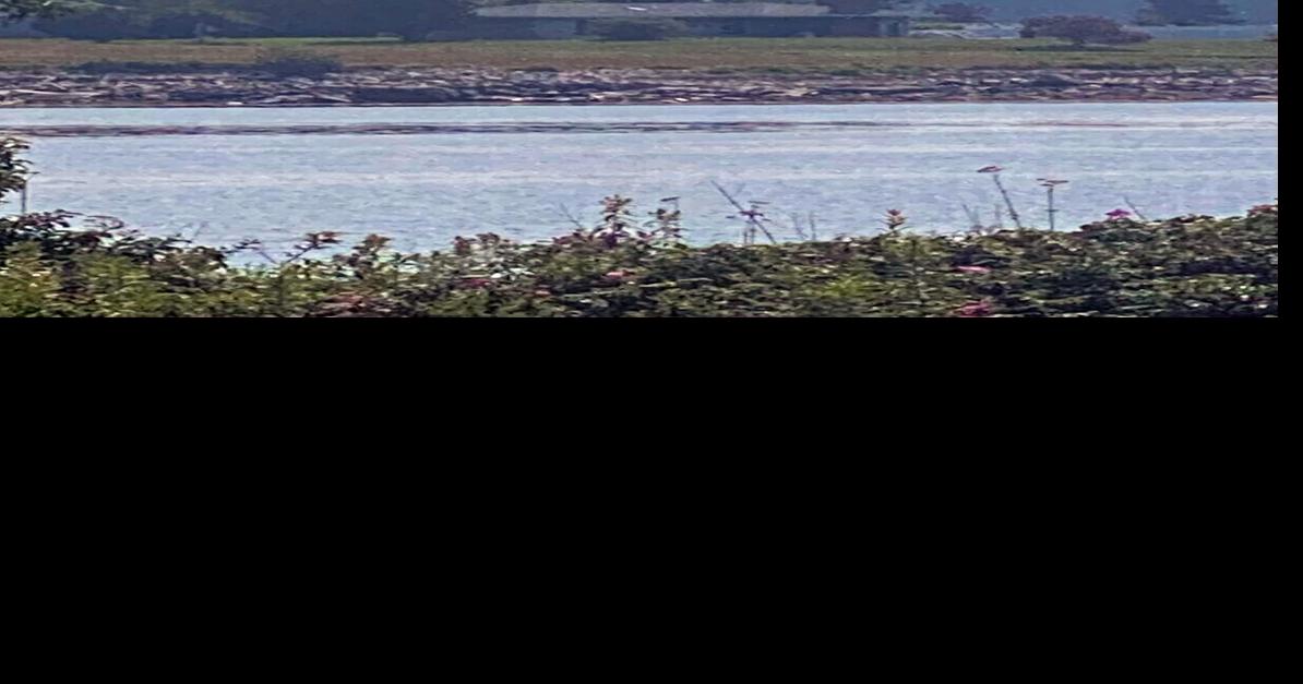 New dome installed to protect military antenna | Maritime | mdislander.com