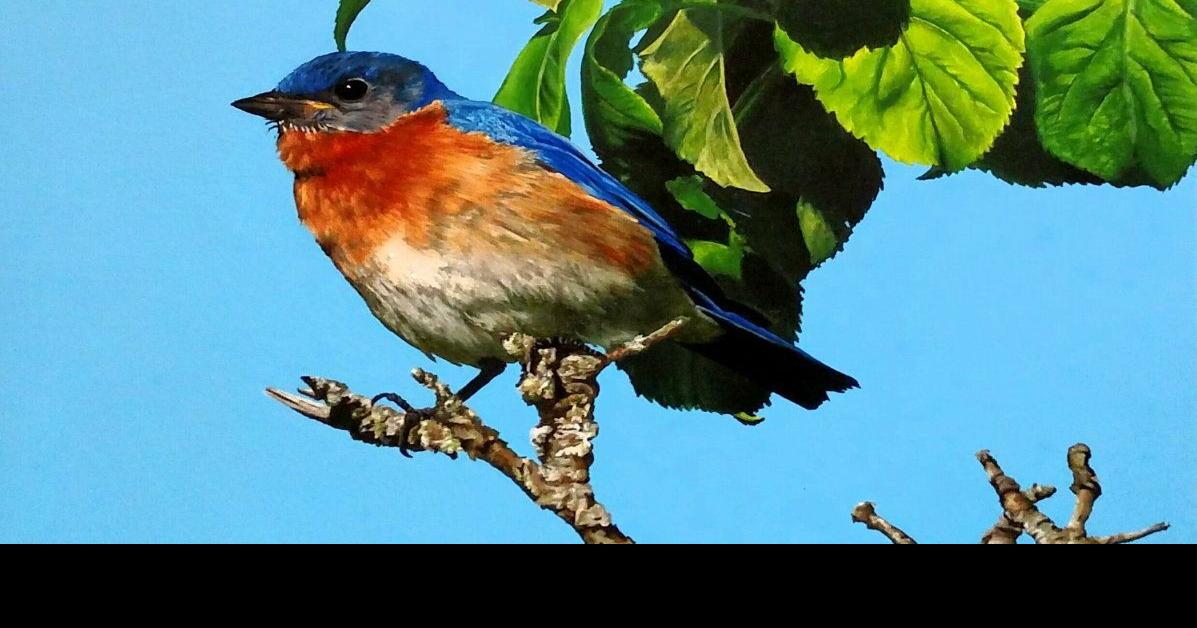 Gilley Museum celebrates Year of the Bird | Arts & Living | mdislander.com