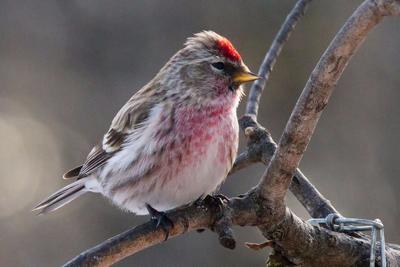 Nature | Nature | mdislander.com