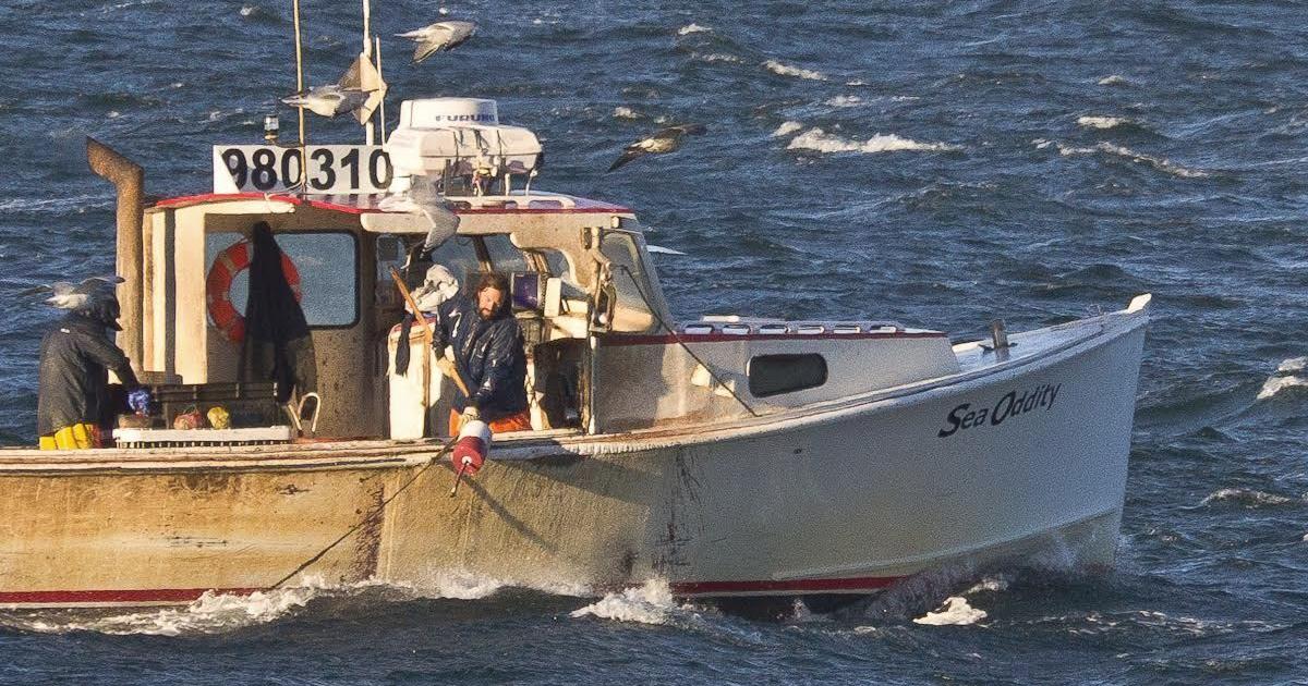 DMR awarded $5 million to test on-demand fishing gear | Maritime ...