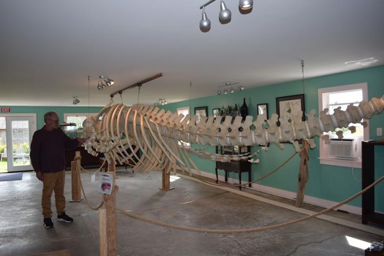 Oceanarium and Education Center winding up 'a great summer' | Maritime ...