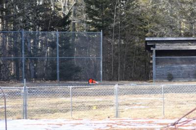 Athletes, coaches cope as spring sports take back seat | Sports ...