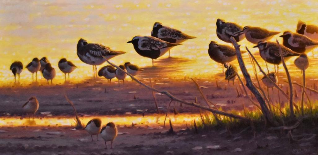 Gilley’s latest exhibition showcases avian art | Arts & Living ...