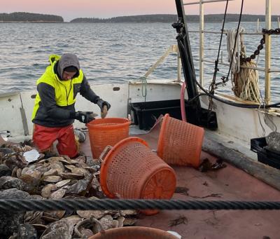 NOAA Fisheries closes Northern Gulf of Maine Scallop Management Area ...