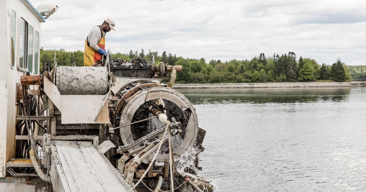 Regional shellfish closures to start May 1 | Maritime | mdislander.com