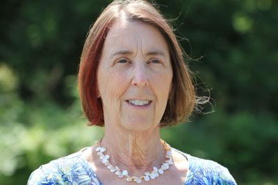 SWH Select Board chair to discuss how local government works ...