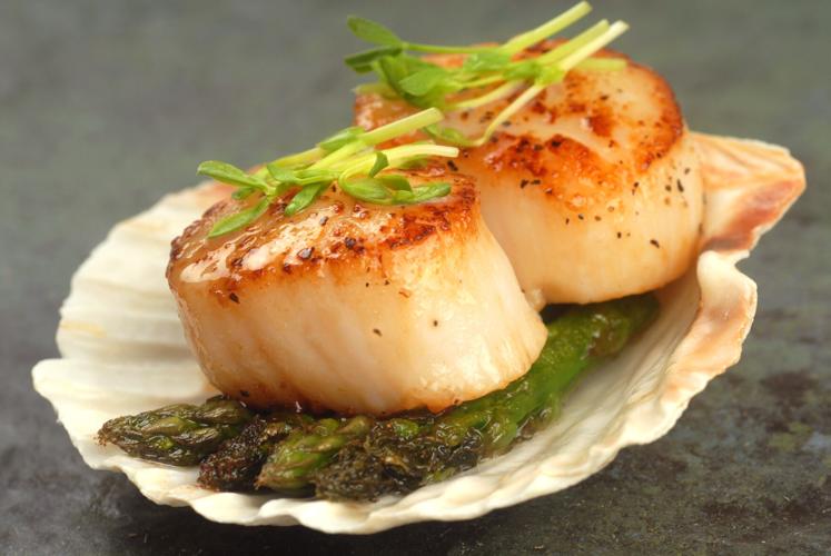 Want local scallops? Now's the time to find 'em | Maritime | mdislander.com