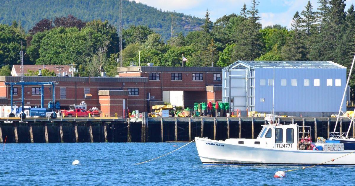 Southwest Harbor Coast Guard facility receives $880K for storm damage ...