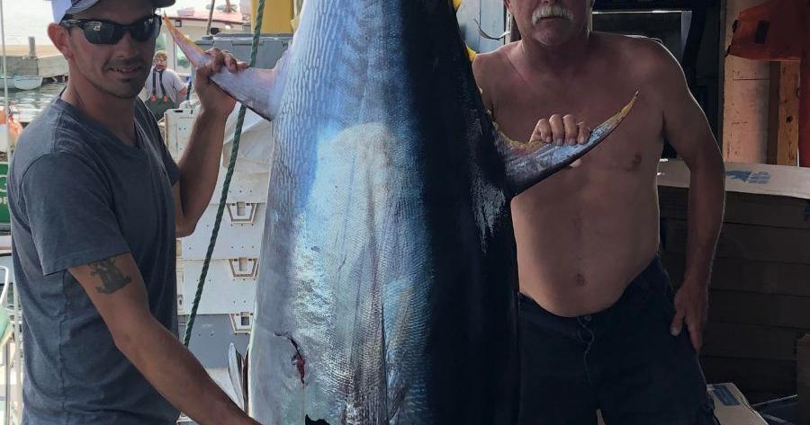 Bluefin tuna trophy fishery closed in Gulf of Maine | Maritime ...