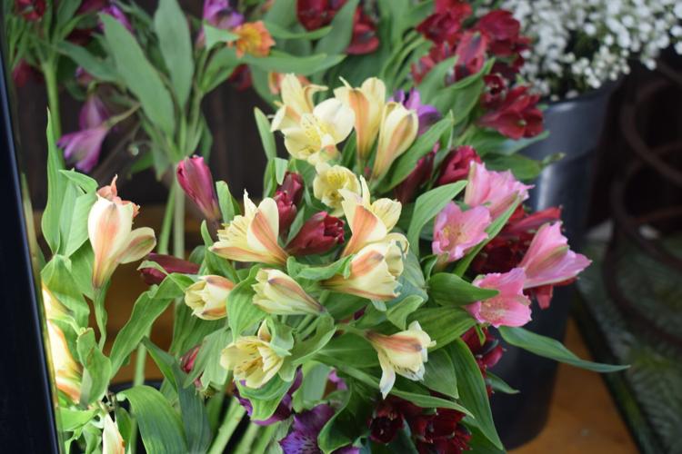 Burke's Hollow Florist on the Westside prepares for Valentine's Day ...