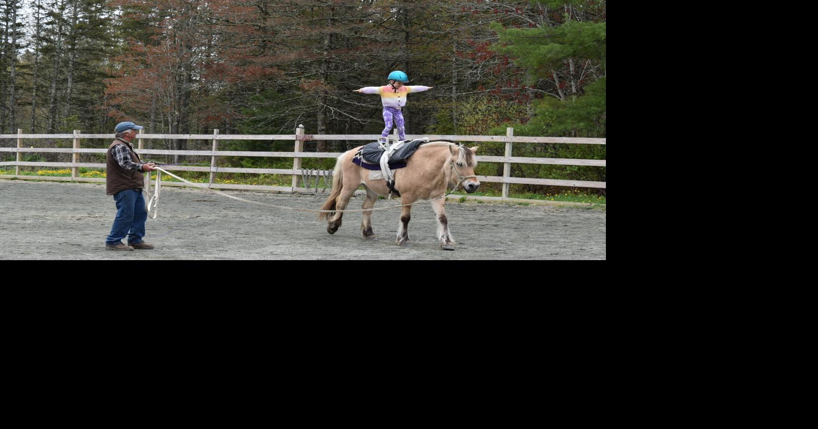 Willowind Therapeutic Riding Center creates sensory trail | Arts ...