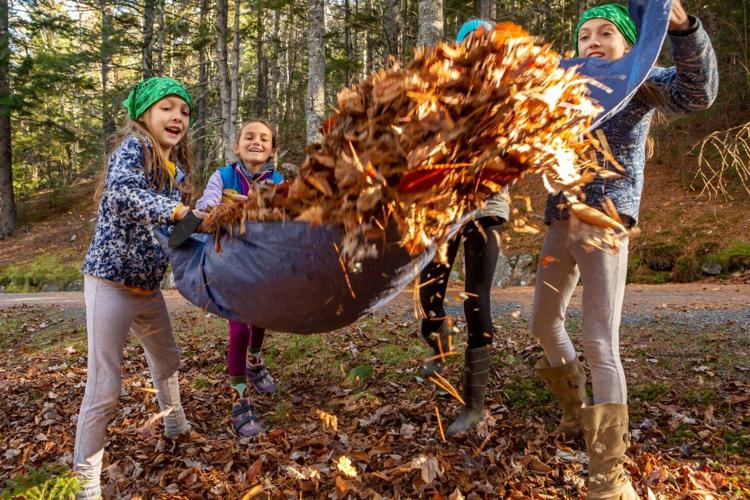 Annual Take Pride in Acadia Day draws more than 400 volunteers ...