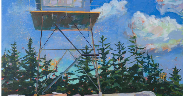 Dorothy Feeley’s 'Landscape as Home' opens at Cygnet Gallery ...