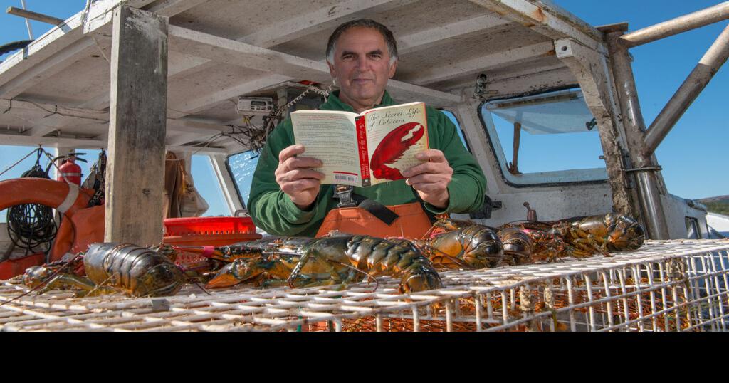 Dennis Meehan to speak at ocean-themed dinner | Arts & Living ...