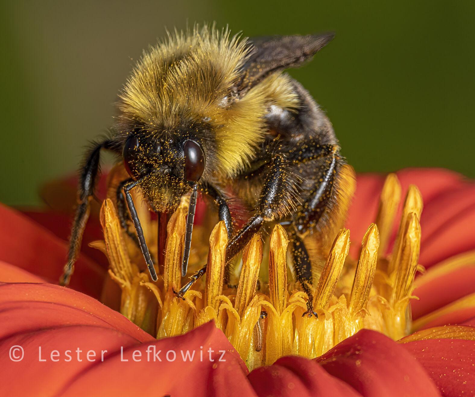 Page A10 | Digital Edition | mdislander.com