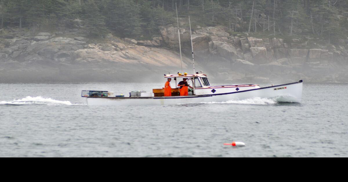Federal judge hears MLA appeal on lobster regulations | Maritime ...