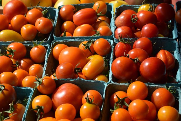 A look at Triple Chick Farm | Environment | mdislander.com