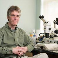 MDI Bio Lab to host national microscopy conference in 2025 | Business ...