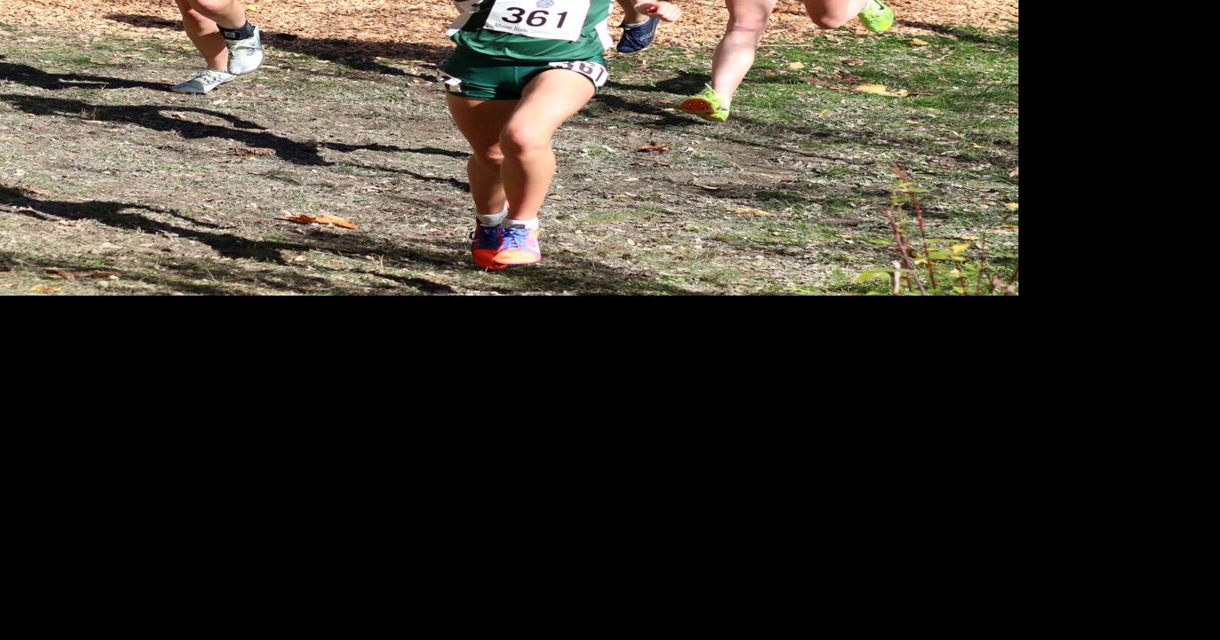 Cross-country: MDI standout Granholm named PVC's Class B Runner of the ...
