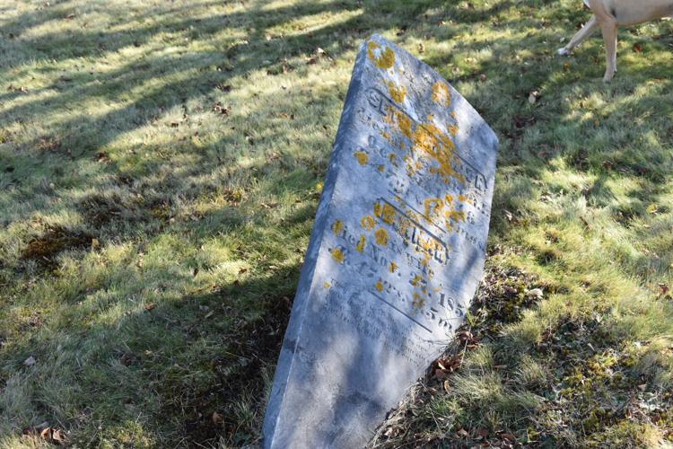 Rocks of ages: Local stonemason works to restore historic Hillside ...