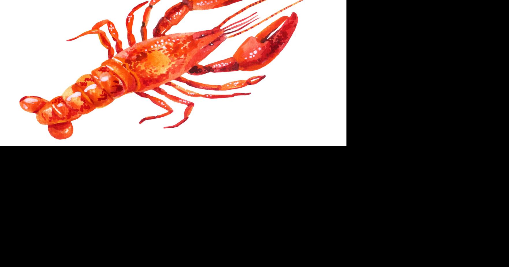 Lobster-themed exhibit to benefit lobstermen | Maritime | mdislander.com
