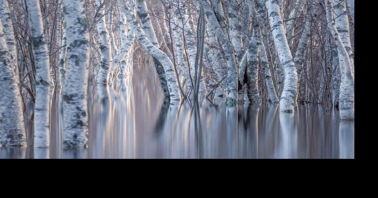 Learn self expression through nature photography | Arts & Living ...