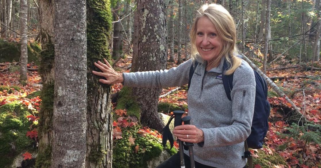 From the unimaginable to forever forests: New book by local author ...