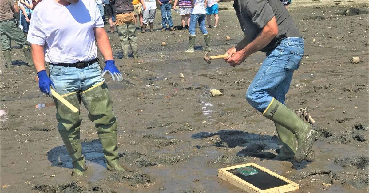 Shellfish Advisory Council to meet June 23 | Maritime | mdislander.com