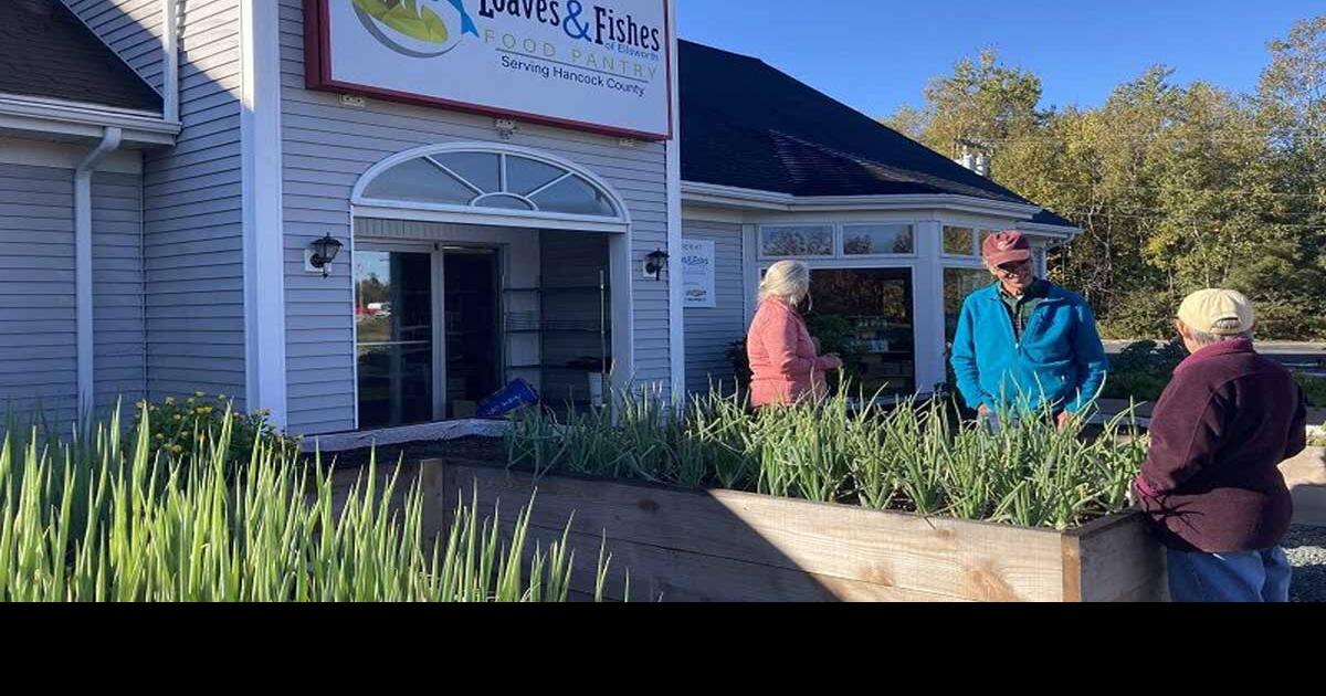 Food security training sessions set for Nov. 9 | News | mdislander.com