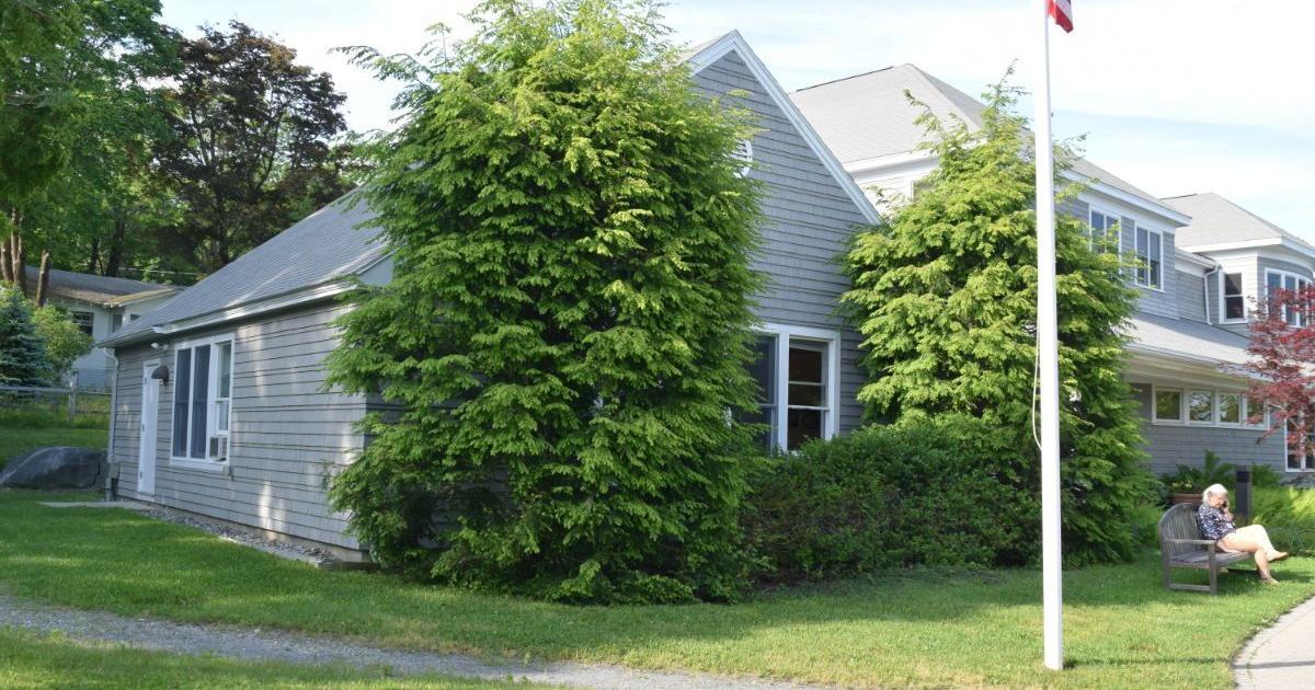 Share a story at Northeast Harbor Library | Lifestyle | mdislander.com