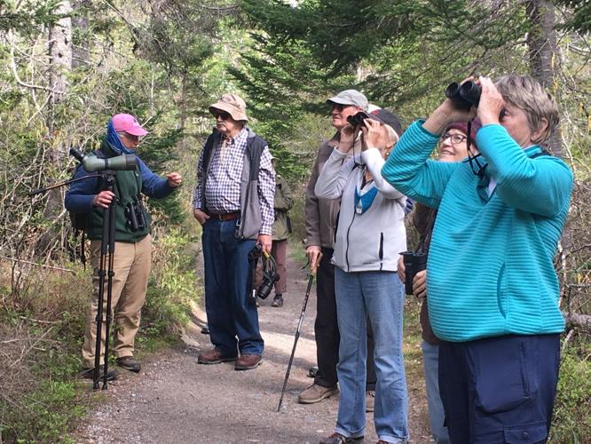 Gilley offers bird migration walk with ornithologist Seth Benz ...