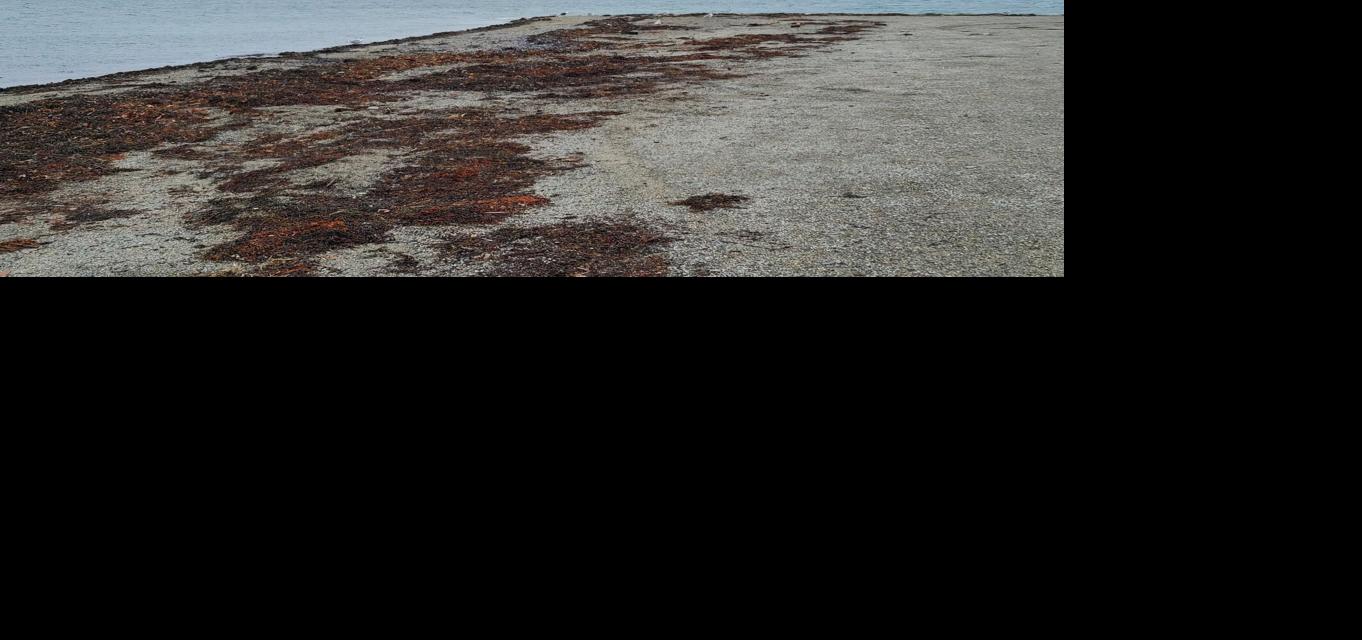 Parks and Rec Committee discusses commercial practices in public parks ...