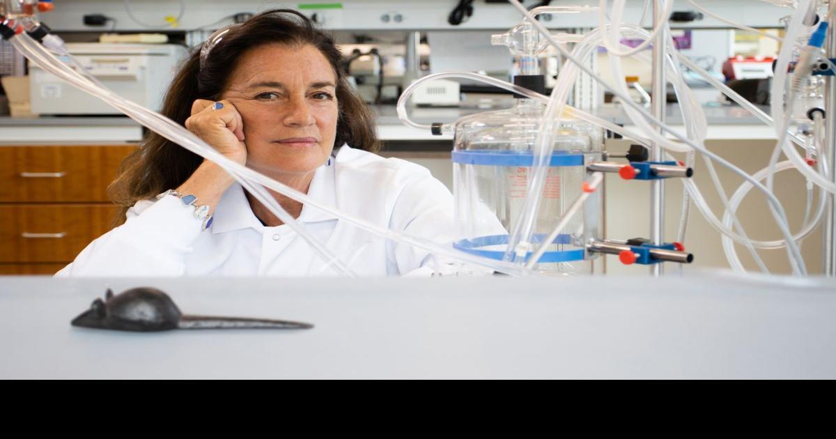 Mouse research aids COVID-19 response | News | mdislander.com