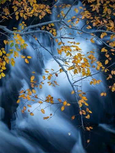 Take digital photos to the next level with MDI Photo Club | Community | mdislander.com