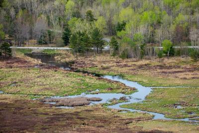 Acadia gets $500K for Great Meadow project | News | mdislander.com