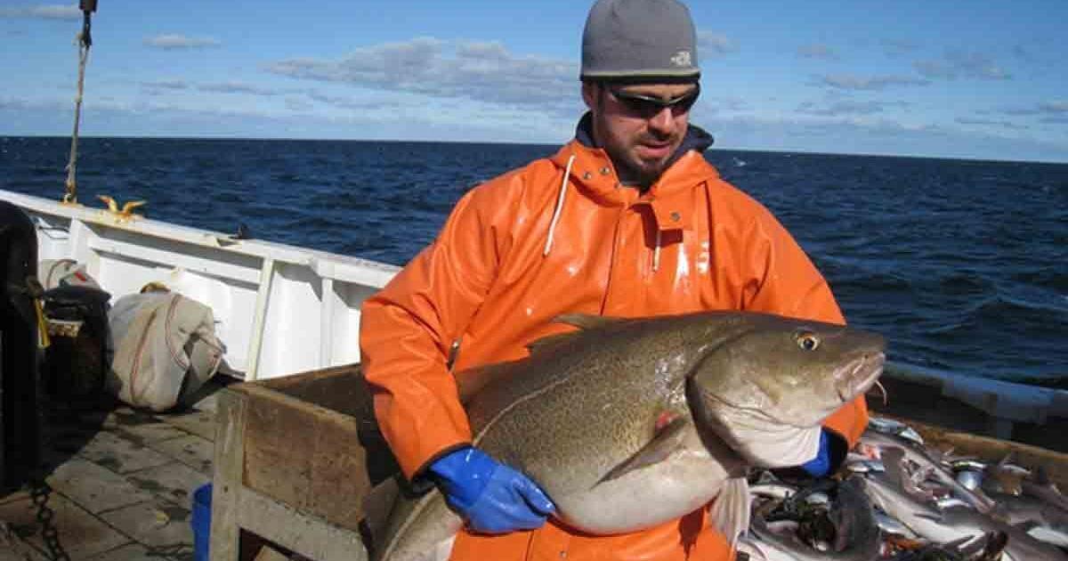 Gulf of Maine cod fishery closed through April 2024 | Maritime ...