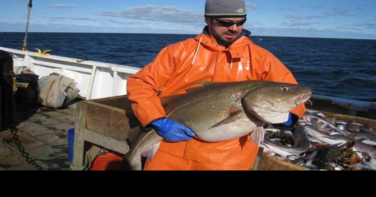 Gulf of Maine cod fishery closed through April 2024 | Maritime ...