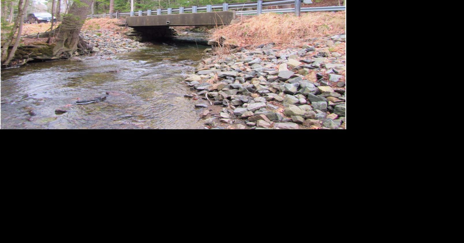 Cromwell Brook Bridge available for reuse | News | mdislander.com