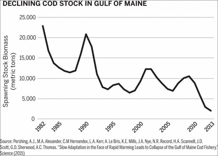 Study blames Gulf of Maine cod decline on overheated waters ...