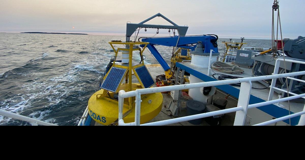 BOEM launches ocean research hub | Maritime | mdislander.com