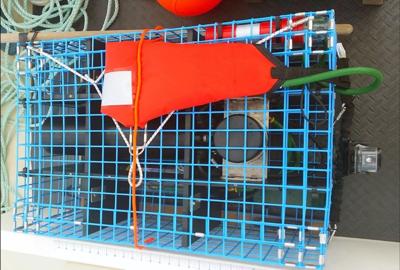 ‘Ropeless’ fishing group meets to discuss emerging technology | News ...