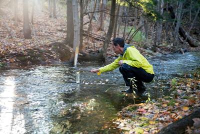 Citizen scientists needed | News | mdislander.com