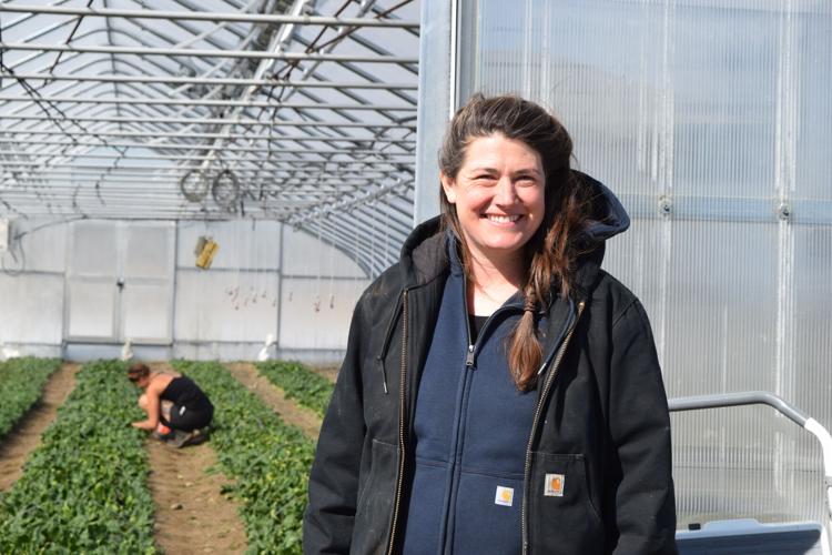 Beech Hill Farm preps for a busy season | Food | mdislander.com