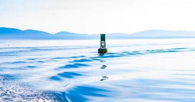 The Island Reader presents 'The Unbridged Edition' | Arts & Living ...