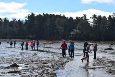 Science class on the clam flats | News | mdislander.com