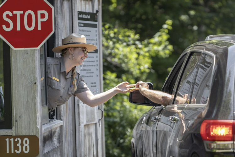 National Park Service introduces digital park passes and entrance fee ...